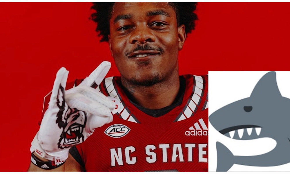 How Demie Sumo Got the Nickname "Slimey Shark" - Pack Insider