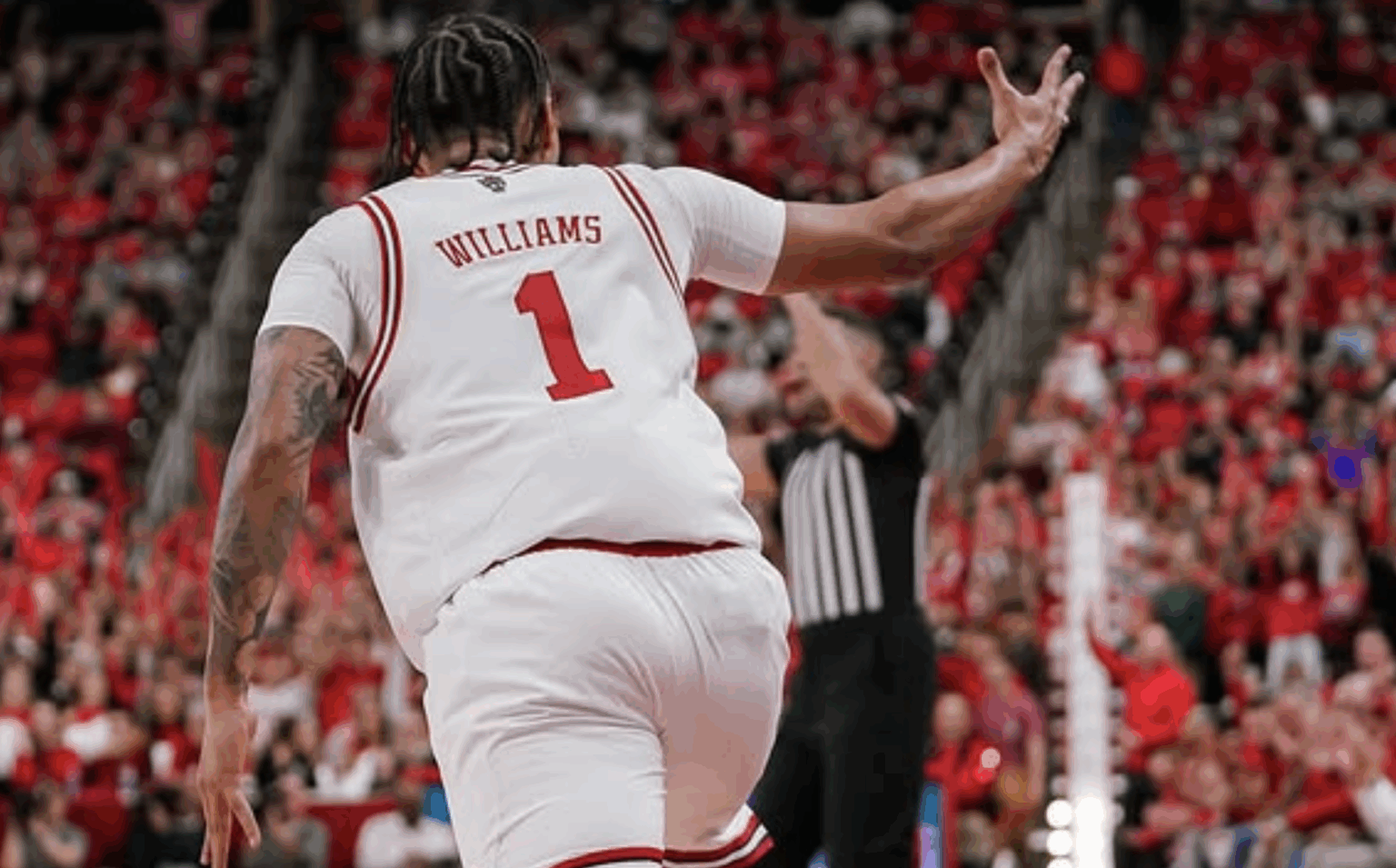 WATCH: Darrion Williams' Highlights from NC State's Win Over